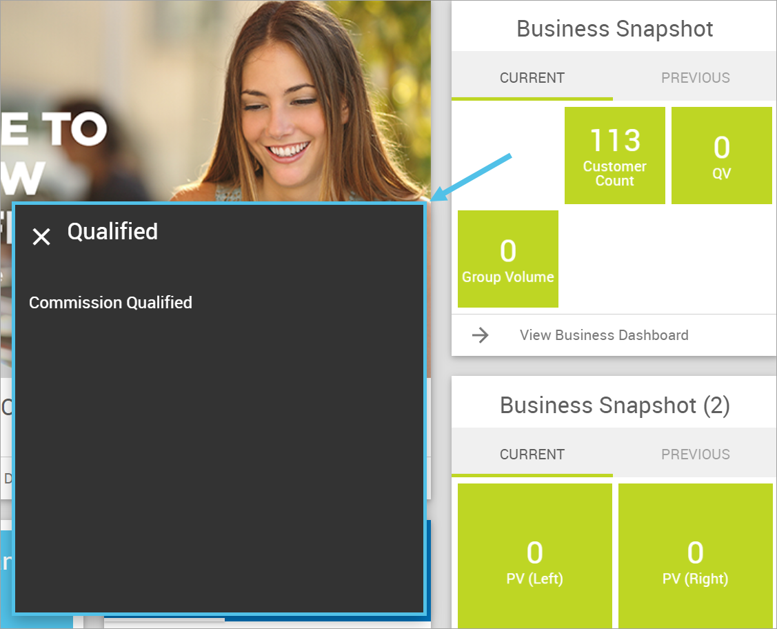 Home > Business Snapshot Widgets – Help Center